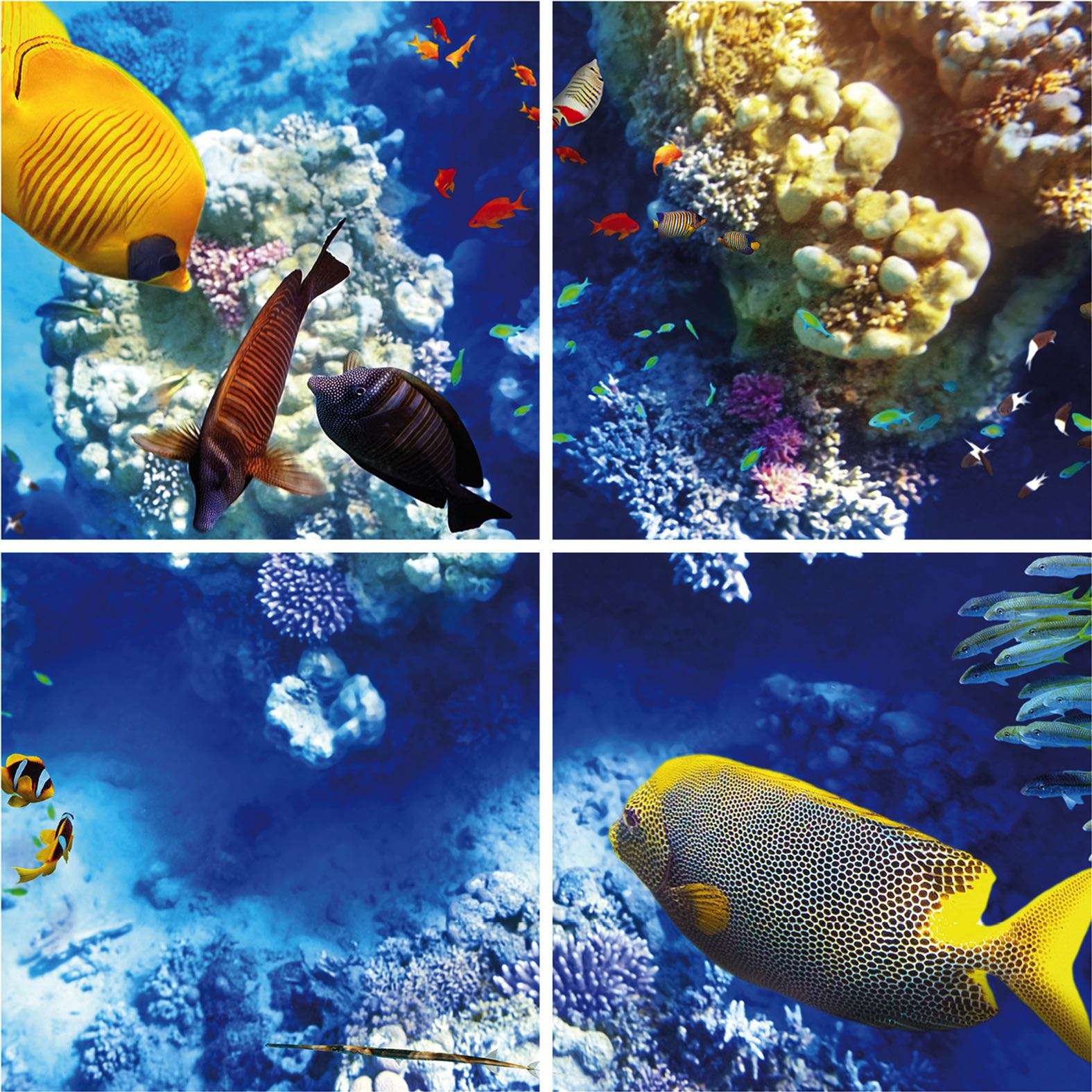 ILLUST 60x60 - Exaktor