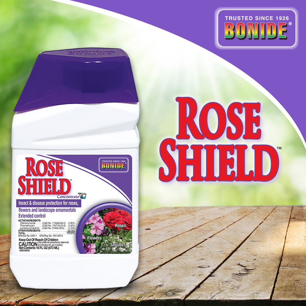 Rose Shield™ Conc - Bonide