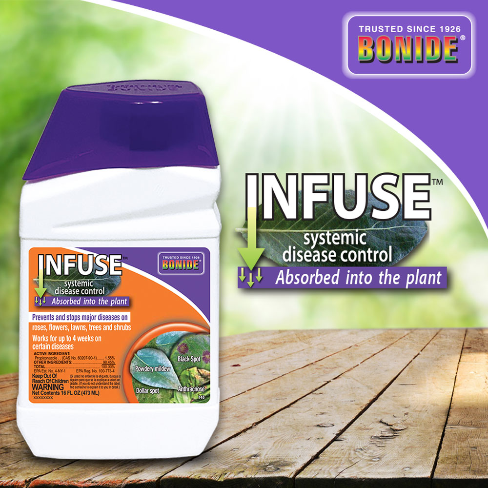 Infuse™ Systemic Disease Control Conc - Bonide