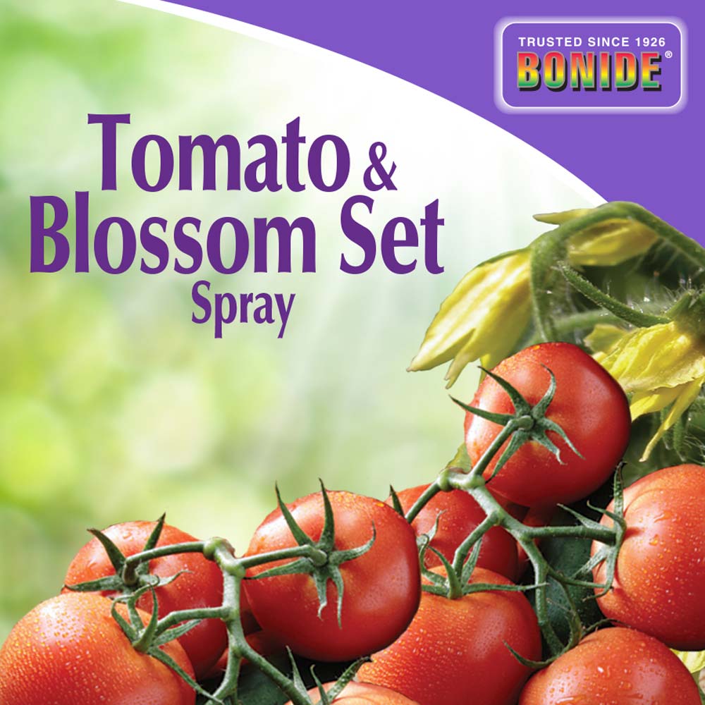 Tomato & Blossom Set Spray - Bonide