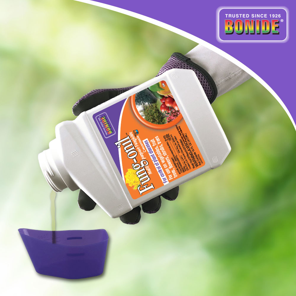 Fung-onil® Fungicide Conc - Bonide