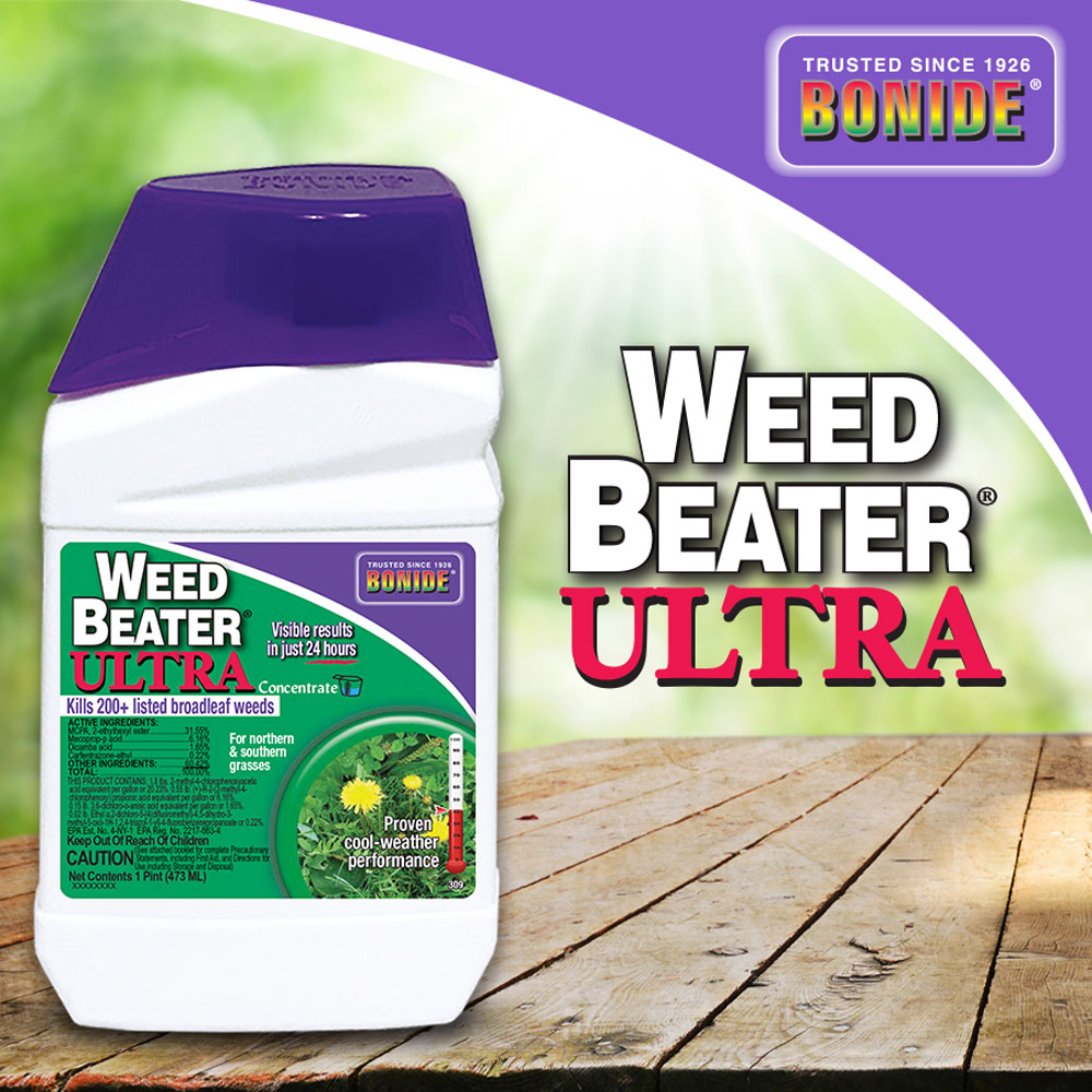 Weed Beater® Ultra Conc - Bonide