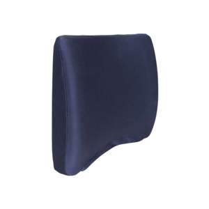 Apollo Lumbar Back Support: Sit Comfortably